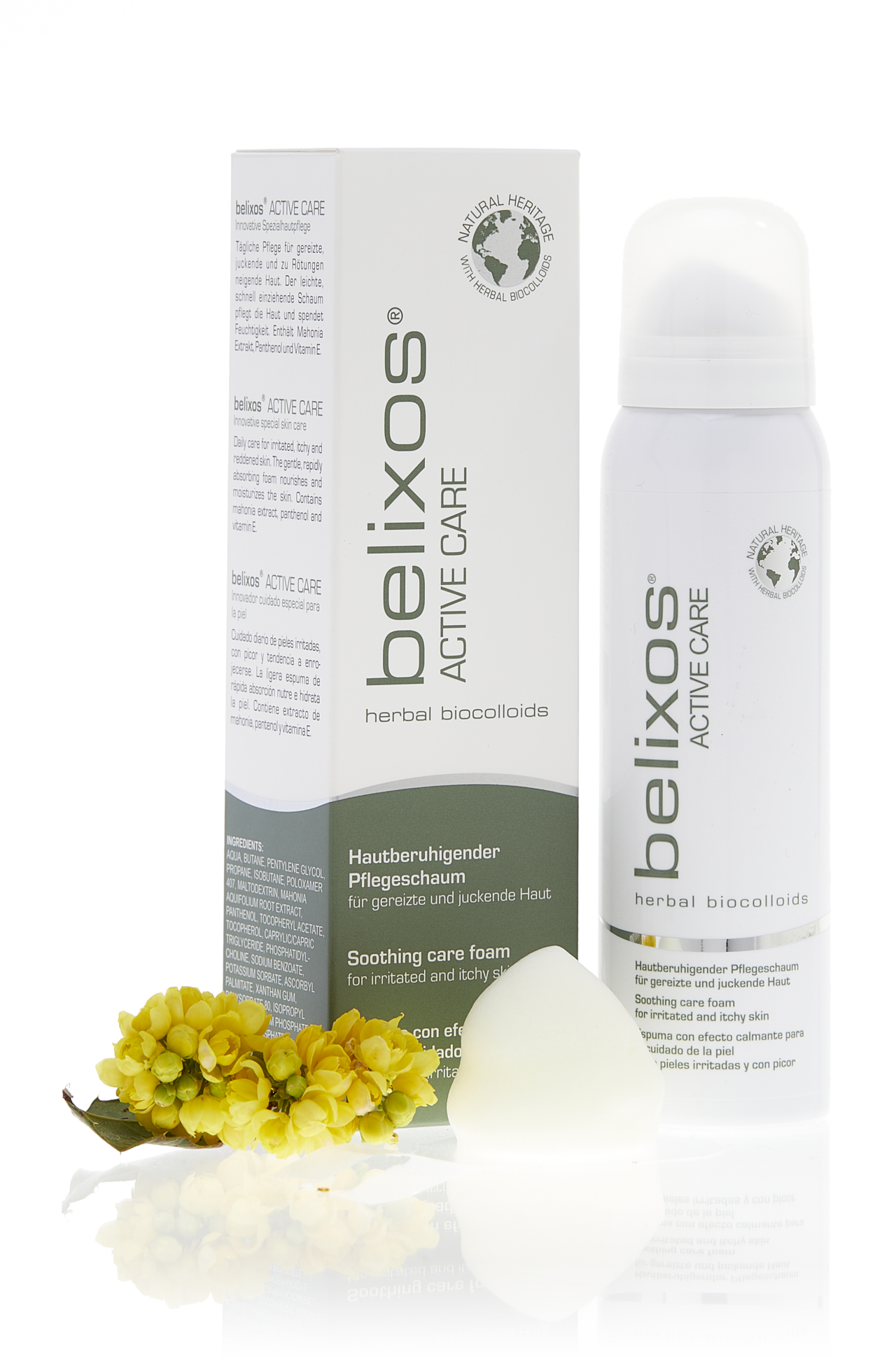 WIRKSCHAUMKEIT aus der Mahonie | belixos®